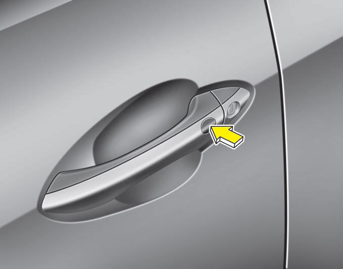 Hyundai Azera: Door locks - Features of your vehicle - Hyundai Azera ...